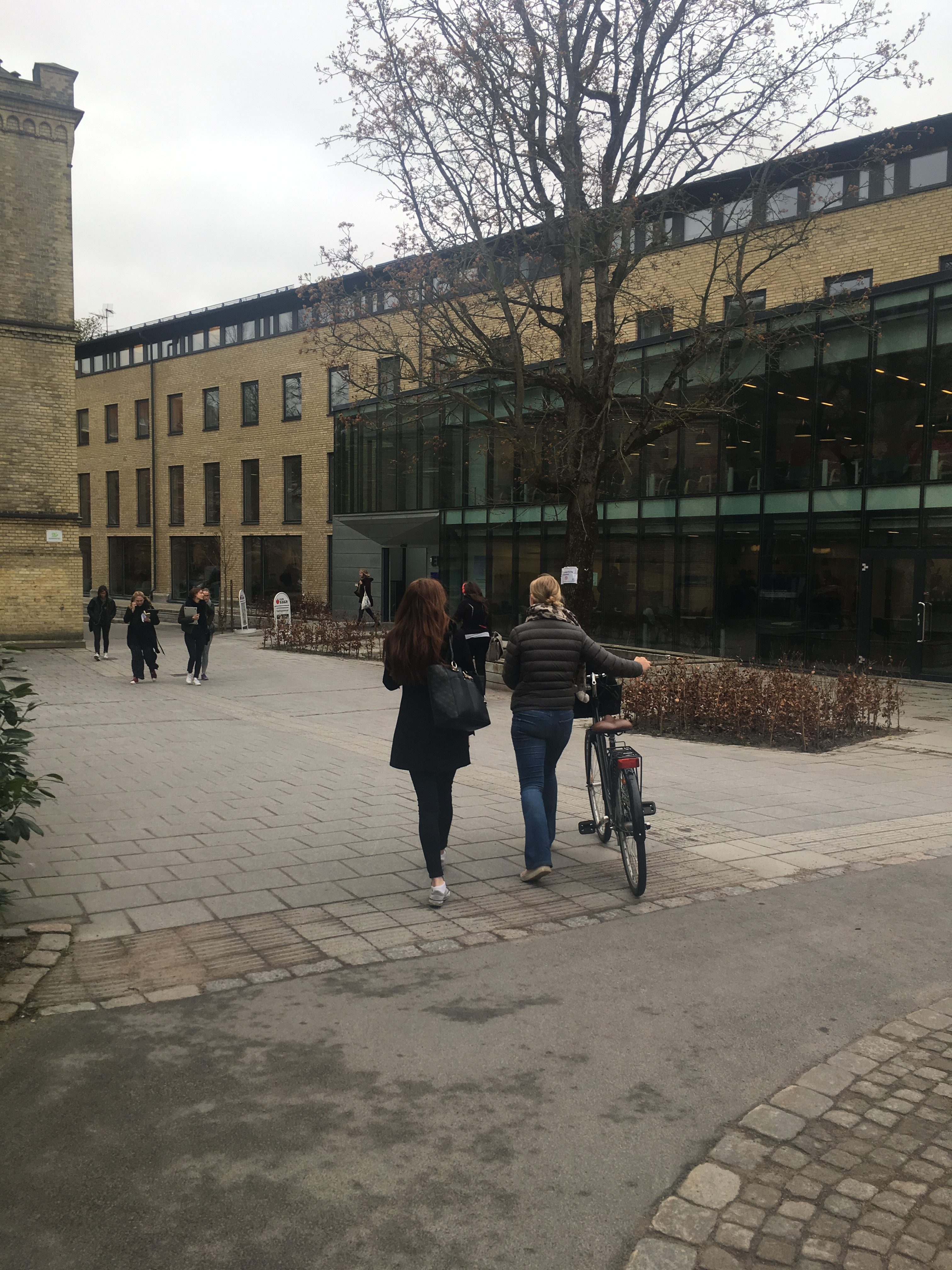 Program och kurser – en djungel av möjligheter – Lundastudent